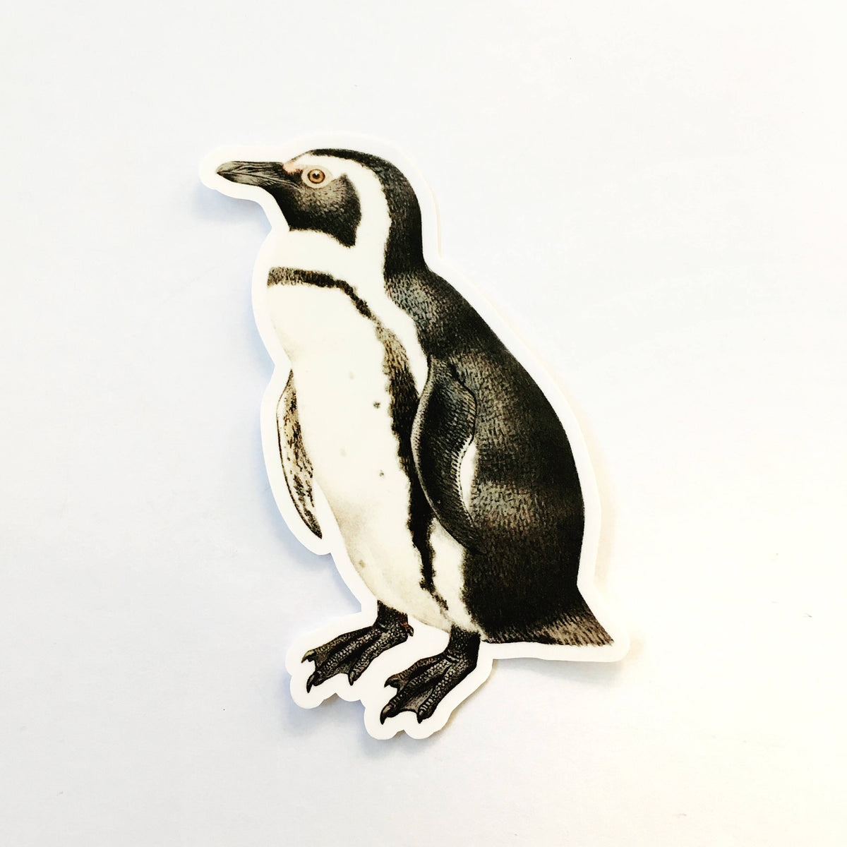 Realistic Animal Laptop Stickers - Illustrated Penguin Vinyl Sticker ...