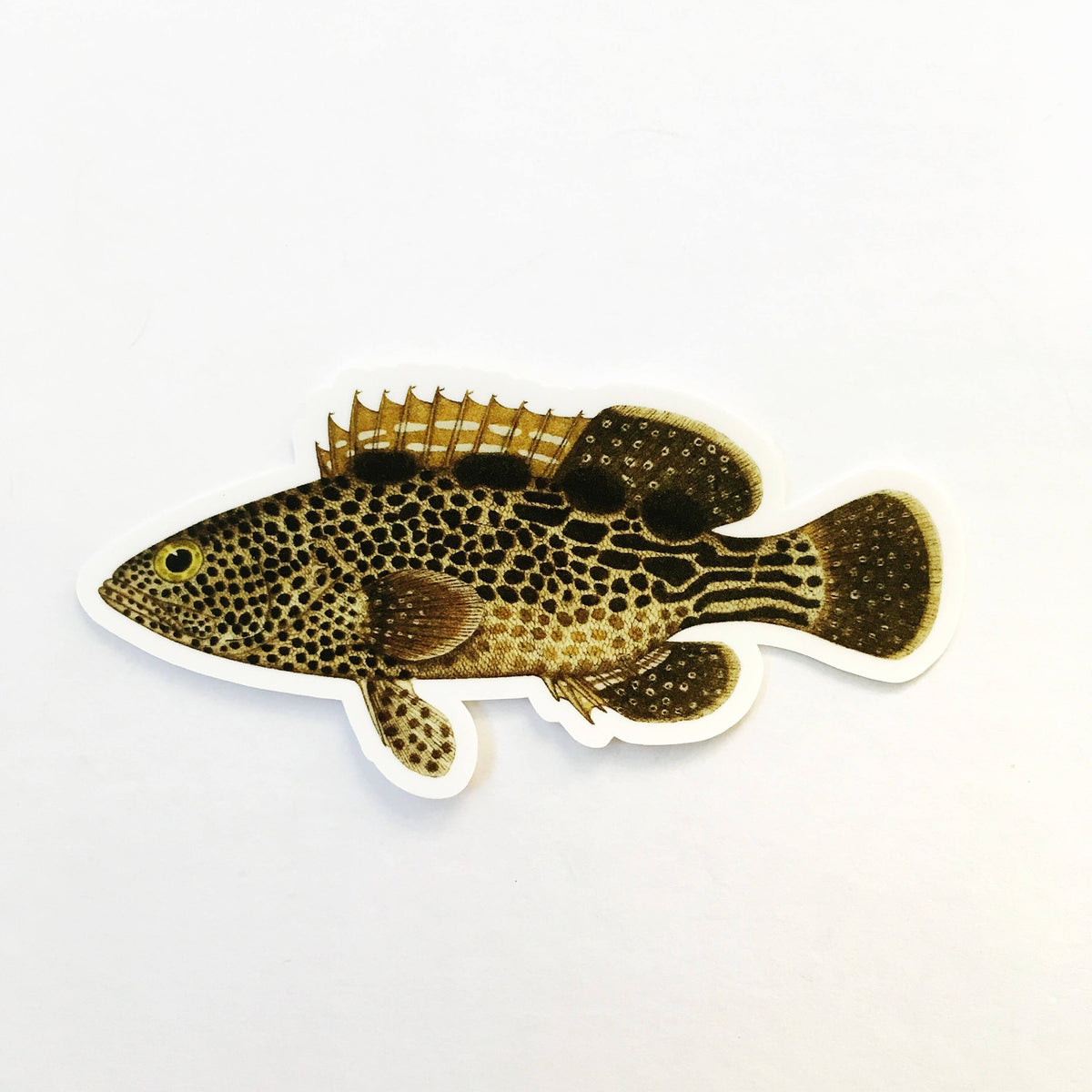 Colorful, Realistic Vinyl Stickers - Grouper Fish Vinyl Sticker ...